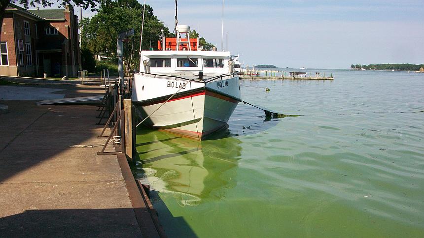 New Data Indicates Farm Runoff Primary Cause of Lake Erie Algal Blooms ...