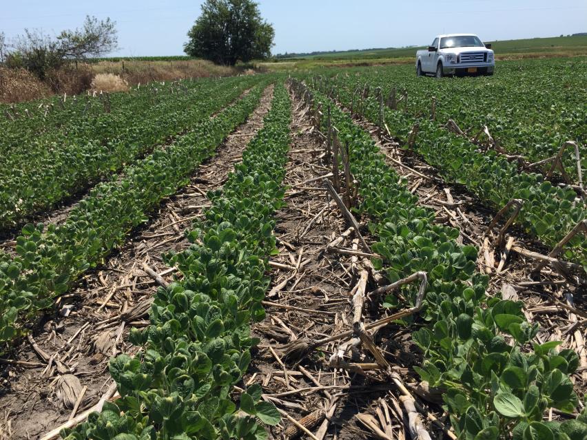 Monsanto's Fraley Addresses Dicamba Situation in Open Letter to Farmers ...
