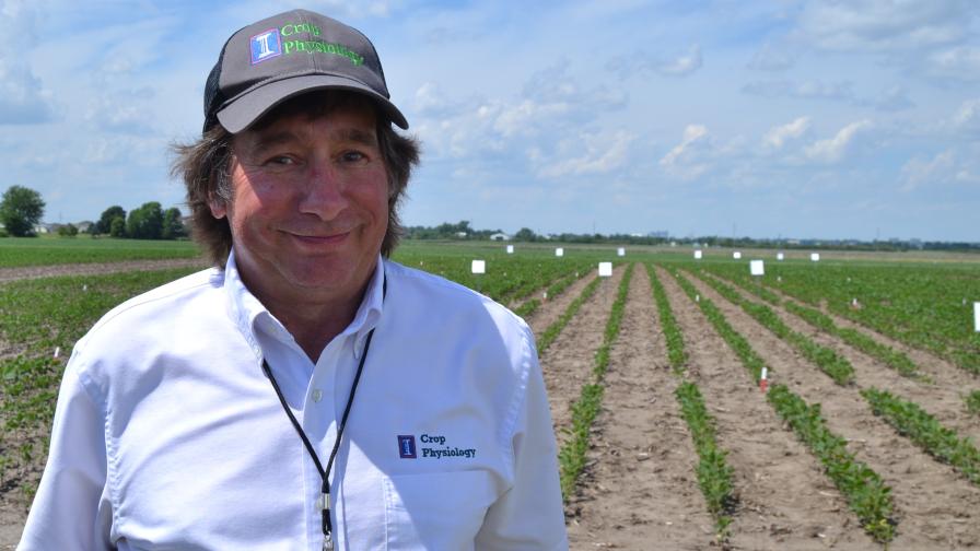 Crop Expert: Future of Corn Is Narrow Rows - CropLife