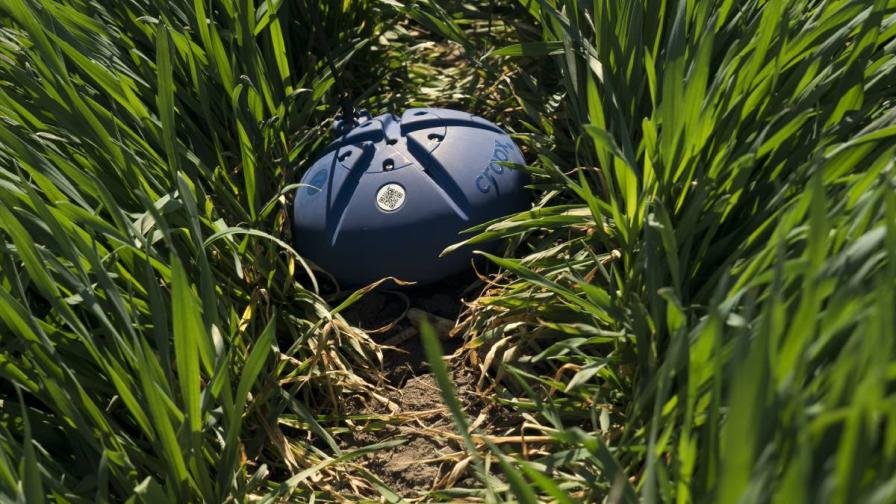Irrigation Management with Soil Sensors: Considerations for Choosing ...