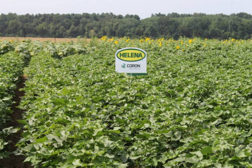 Helena Agri-Enterprises Previews Services, Products for 2024 - CropLife