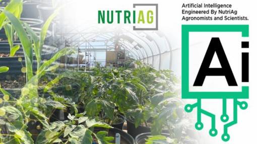 NutriAg Harnessing AI to Optimize Product Development for Crop ...