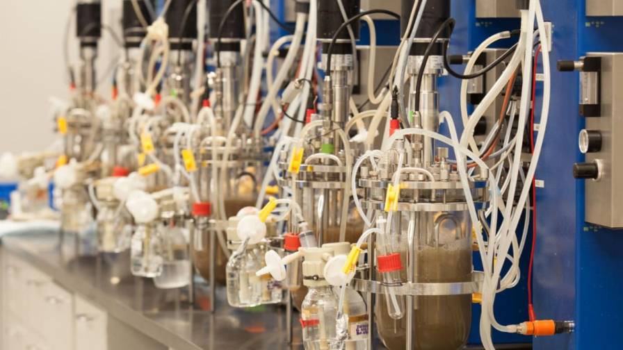 DPH Biologicals Launches New Tech Platform for Producing Bacillus spp ...