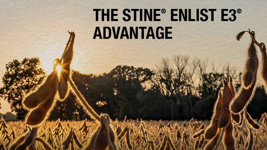 How Stine Seed Is Advancing Innovation With Enlist E3 Soybeans - CropLife