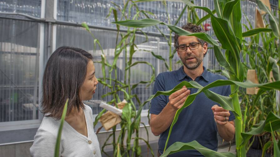 Spearhead Bio Awarded NSF Tech Transfer Grant to Accelerate Development ...