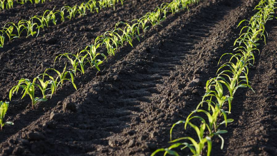 EPA Greenlights PAM As Pesticide Mitigation Tool - CropLife